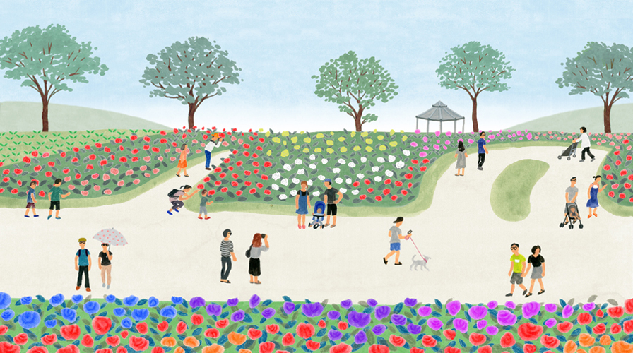 Creator's Playground: Grafolio