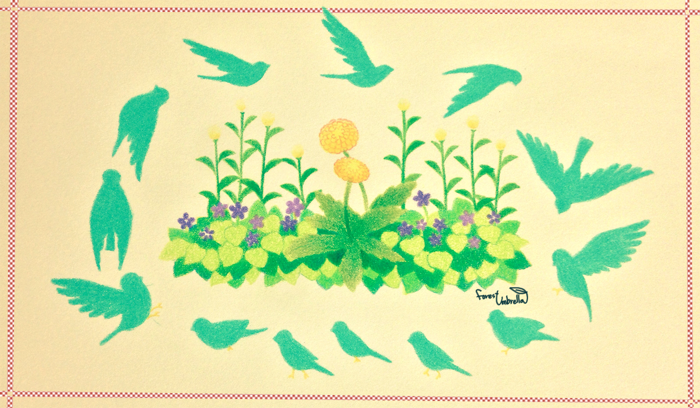 Creator's Playground: Grafolio