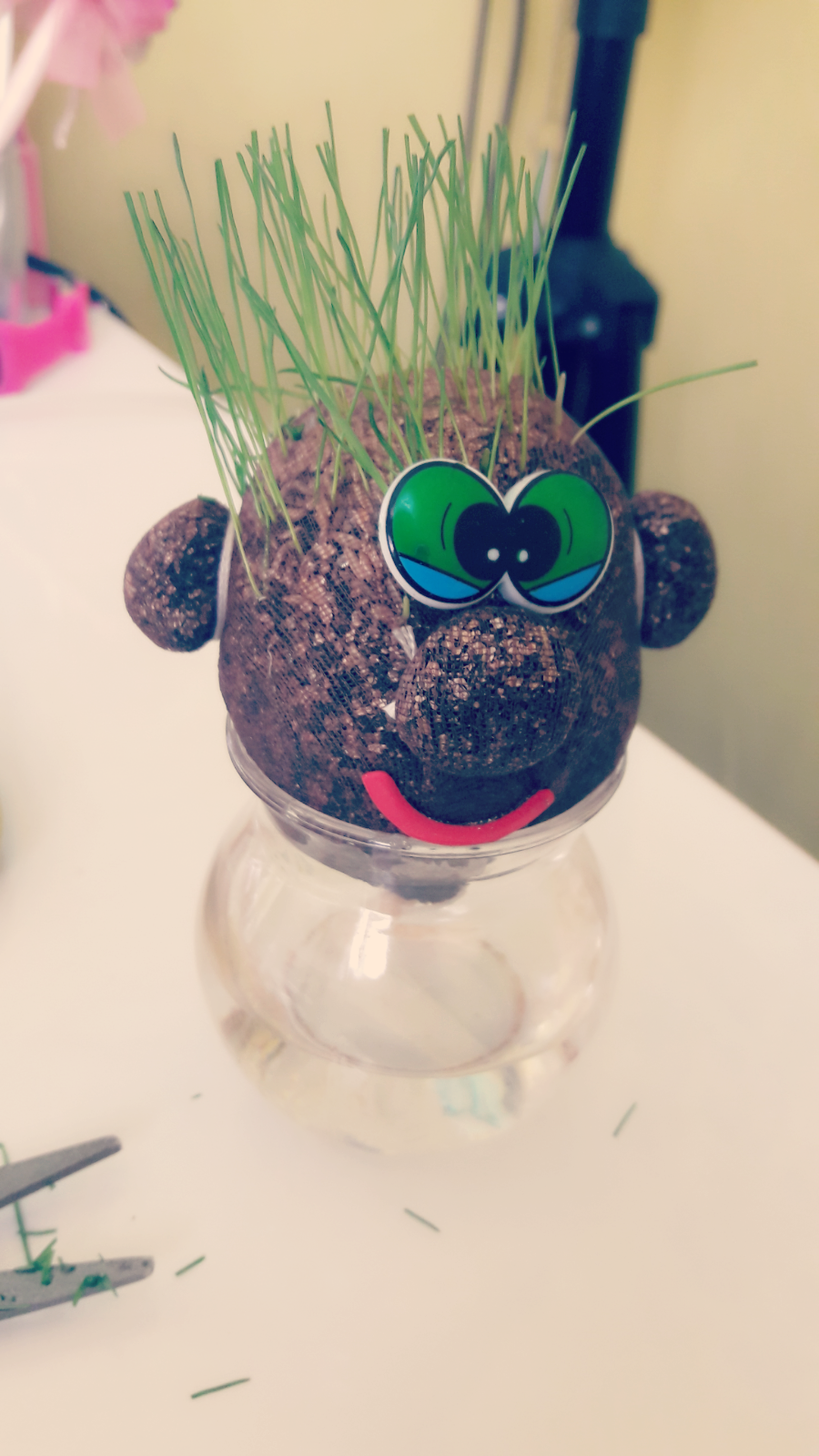 Creator's Playground: Grafolio