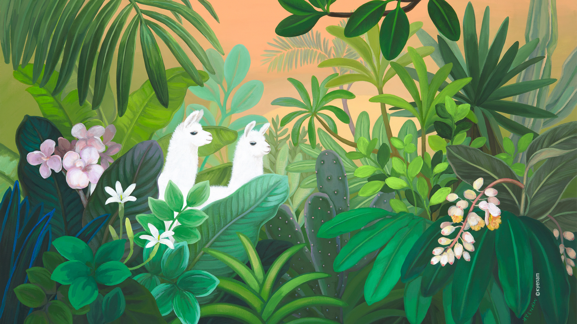 Creator's Playground: Grafolio